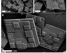 Home | Hohman Research Group